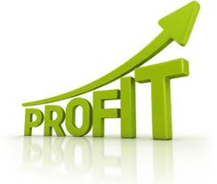 Week 3: How Important is Profit? Plan-Plan-Plan! | Brian Pankratz